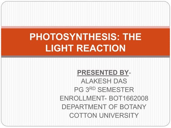 Light reaction of photosynthesis | PPTX | Chemistry | Science