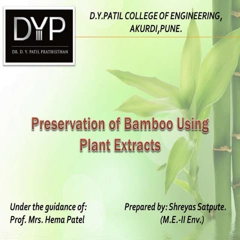 Bamboo Preservation | PDF