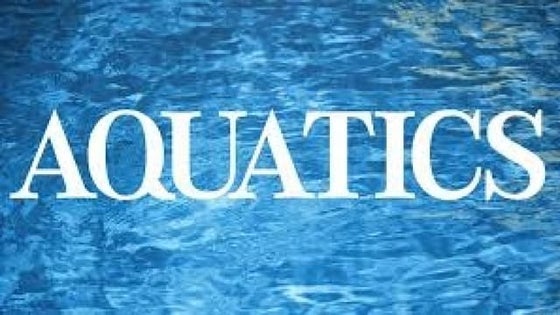 Aquatics | PPTX | Swimming | Sports
