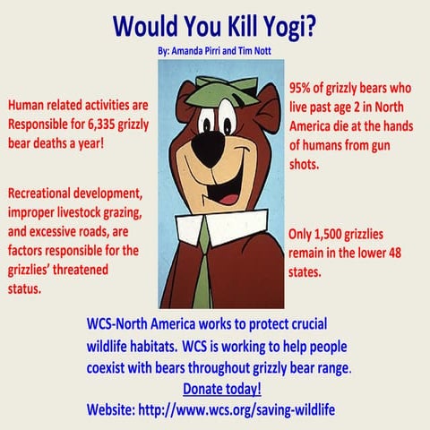 Grizzly Bears PSA | PPT