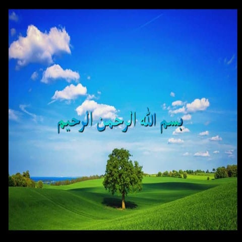 PSA prostatic specific antigen modalities.pptx