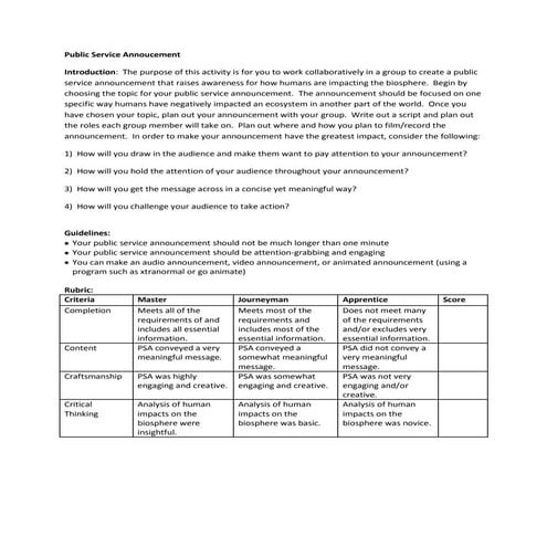 Psa assignment overview | DOCX