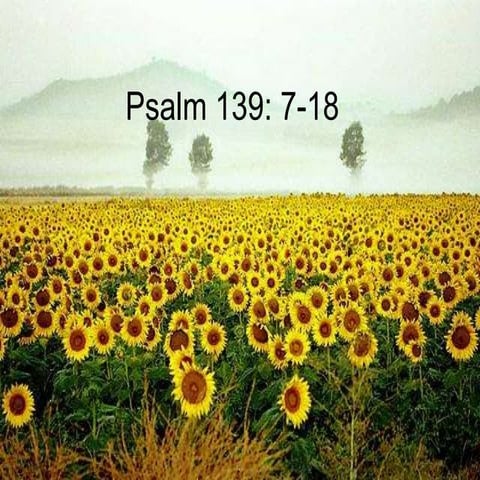 Psalm 139 Lord you know and study me.ppt
