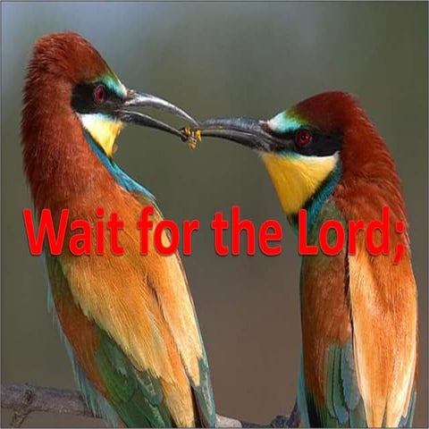 Psalm 27.14. | PPTX | Christianity | Religion & Spirituality