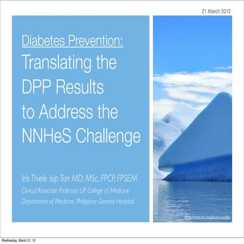 Translating the DPP Results to Address the NNHeS Challenge | PDF