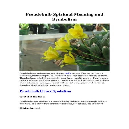 Pseudobulb Spiritual Meaning and Symbolism.docx