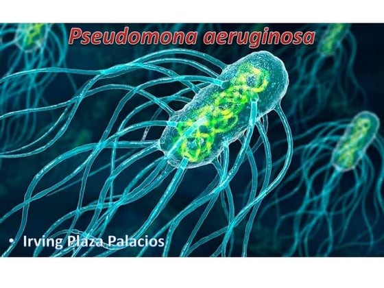 Pseudomonas | PPTX