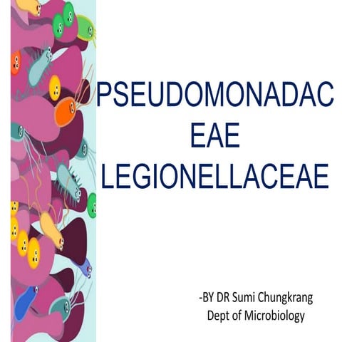 Non-Fermentative Gram negative bacilli | PPTX