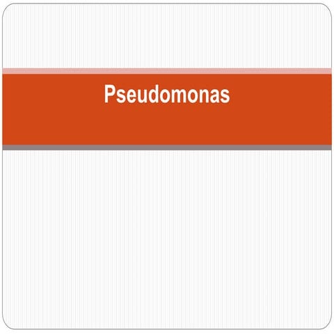 Pseudomonas.ppt