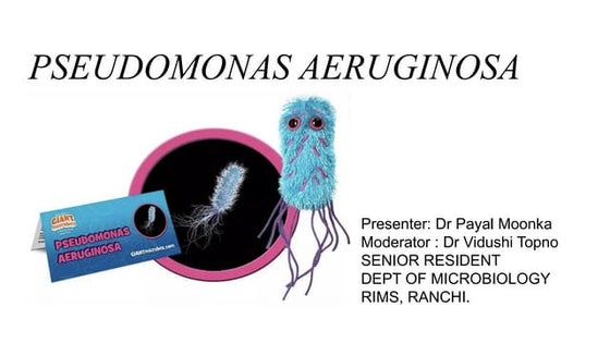 Pseudomonas aeruginosa original .pptx pptx | PPT