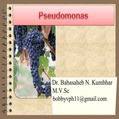 Enterobacteriaceae | PPT