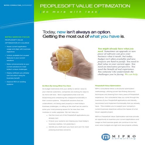 Psft Value Opt Full | PDF | Computer Software and Applications | Computing