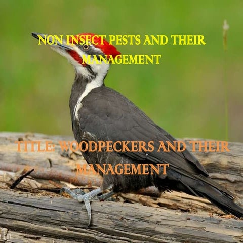 RagingWire Case Study - Flextronics | PDF