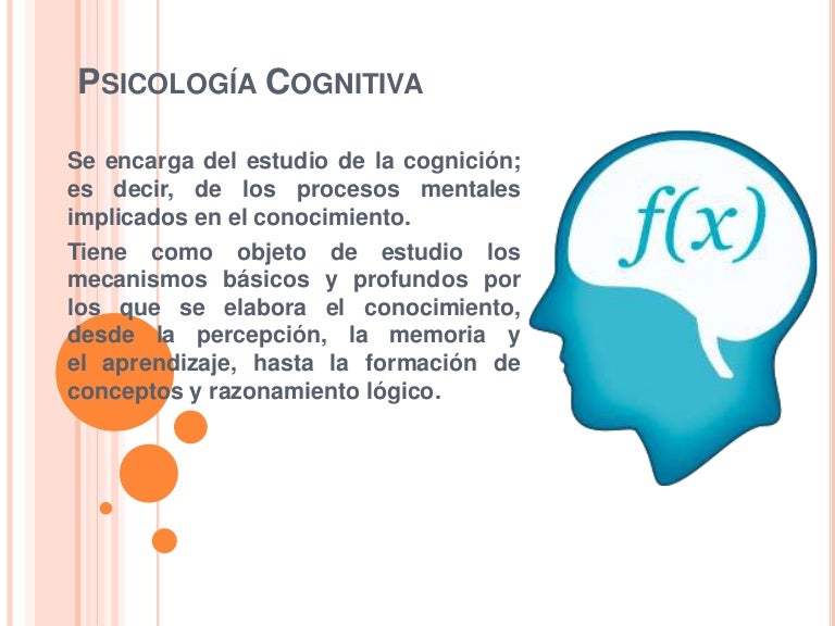 Funcion Cognitiva Definicion | ¿Qué son las funciones cognitivas y para ...