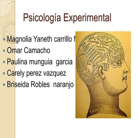 Psicología experimental | PPTX