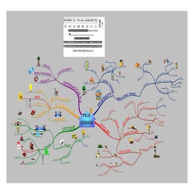 Psle science 2011 | PDF