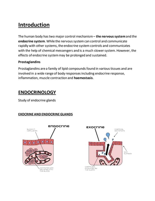 The Endocrine System | PPT