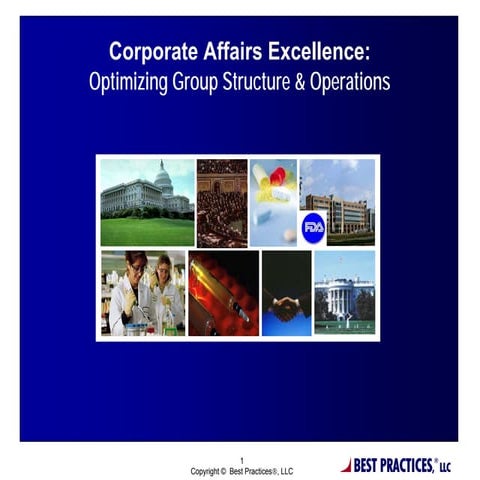 Corporate Affairs Excellence Report Summary | PDF