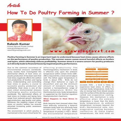 How To Do Poultry Farming in Summer? Published in Poultry Square ...