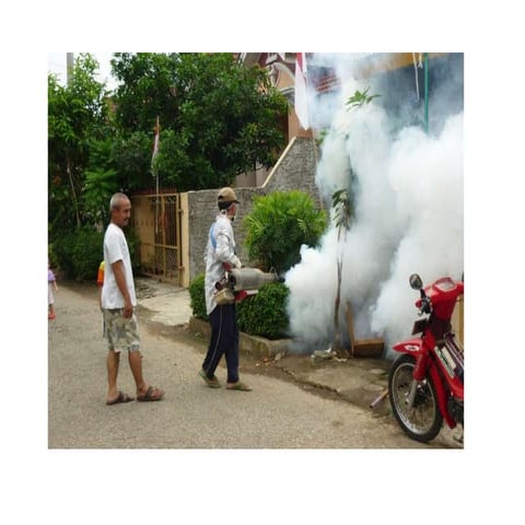 PEMBERANTASAN SARANG NYAMUK ( PSN ) DENGAN FOGGING | PPTX