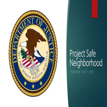 Project Safe Neighborhood Year 1 Summary | PPTX