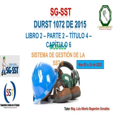 PSO vs SG-SST.pptx