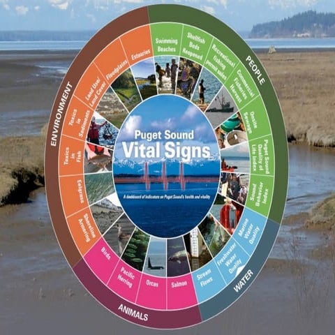 PSP Vital Signs | PDF