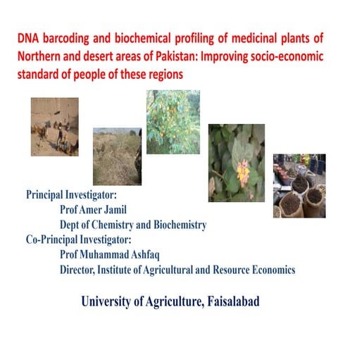 DNA Barcoding and Biochemical Profiling of Medicinal Plants of Northern ...