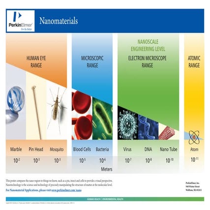 Poster: Nanomaterials | PDF