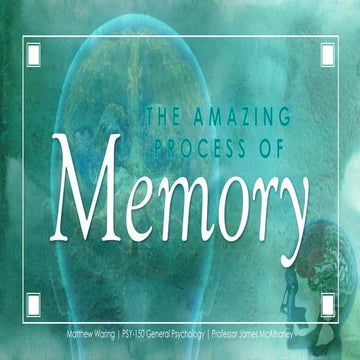 Short Presentation - The Study of the Process of Memory | PDF