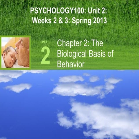 Psy 100 unit 2 week 3 ch 2 | PPT | Brain and Nervous System Disorders ...