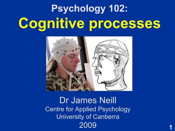 Cognitive Process Profile (CPP) psychometric | PPTX | Business ...