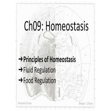 PSY-2 Ch09 Homeostasis | PPTX
