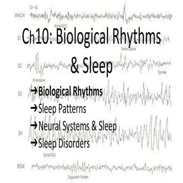PSY-2 Ch10: Biological Rhythms & Sleep | PPTX | Sleep Disorders ...