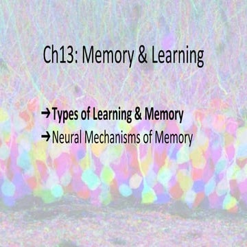 PSY-2 Ch13: Memory & Learning | PPTX