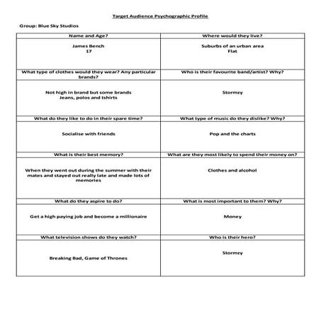 Target audience psychographic profile | DOCX