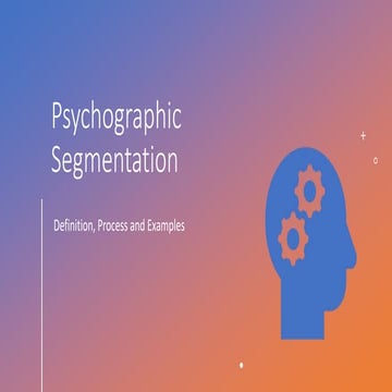 Psychographic Segmentation (1).pptx