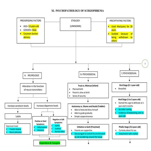 Psychopathology of Schizophrenia.pdf