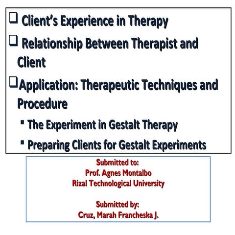 Application : Therapeutic Techniques and Procedure Client Experiences ...