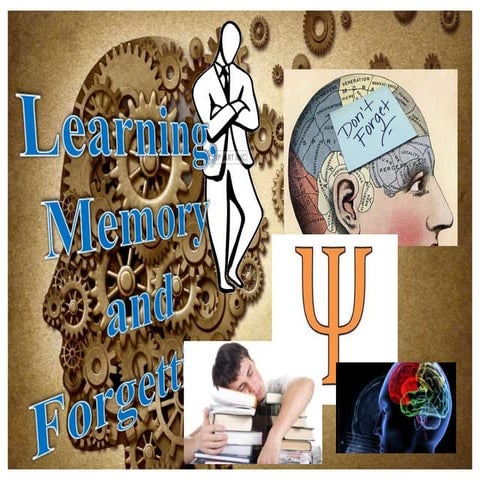 Memory and forgetting | PPT