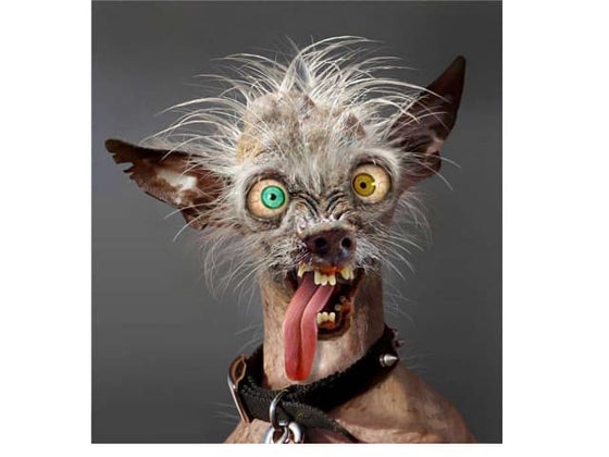 Lesson 3 modal verbs | PDF