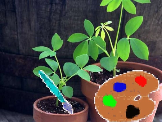 CRP002 - AESA BASED GUIDE TO PECHAY PRODUCTION.pdf