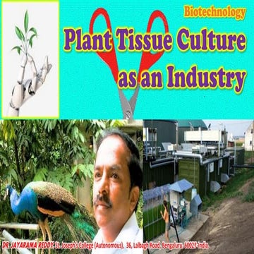 Plant Tissue Culture as an Industry by Dr. Jayarama Reddy | PDF
