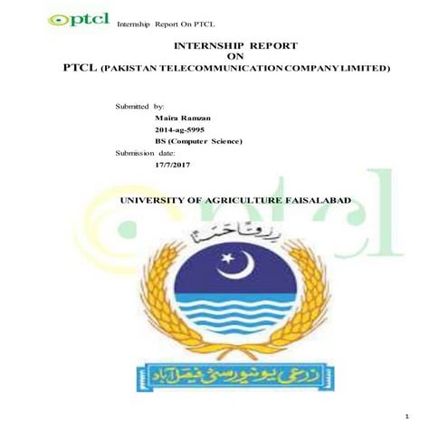 Internship report on PTCL | PDF