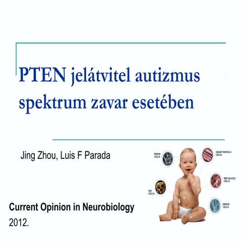 Pten signaling in asd | PPT