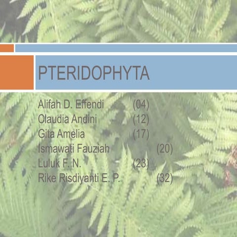 Pteridophyta | PPTX