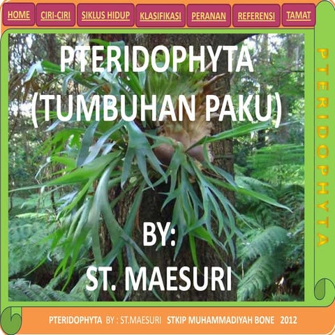 Pteridophyta 2012 | PPTX