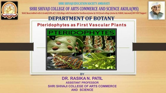 Sphenopsida details | PPTX