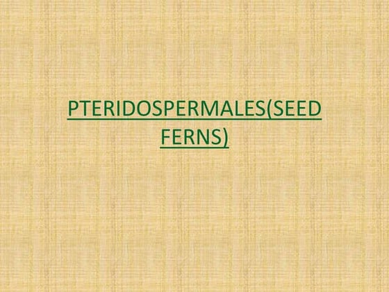 Synergids And Its Functions Reproductive Biology Of Angiosperms Ppt