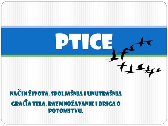 Biljke i životinje naših livada | PPT